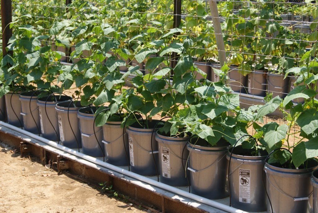 Grow Bucket Kit (1 unit) (Old Style) – Choate Machine & Tool – Choate ...